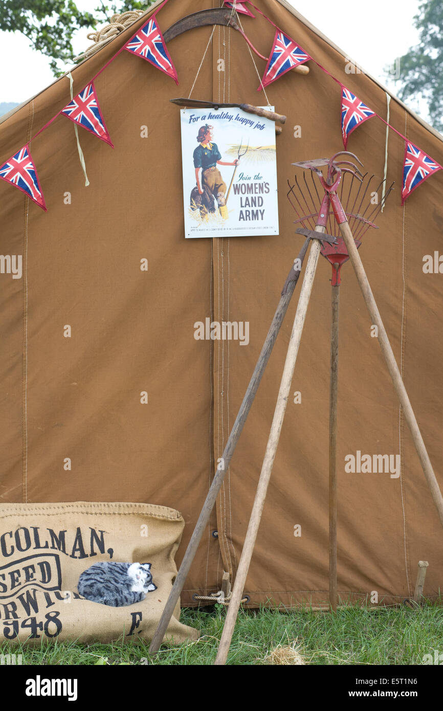 woman's land army Garden Stock Photo - Alamy