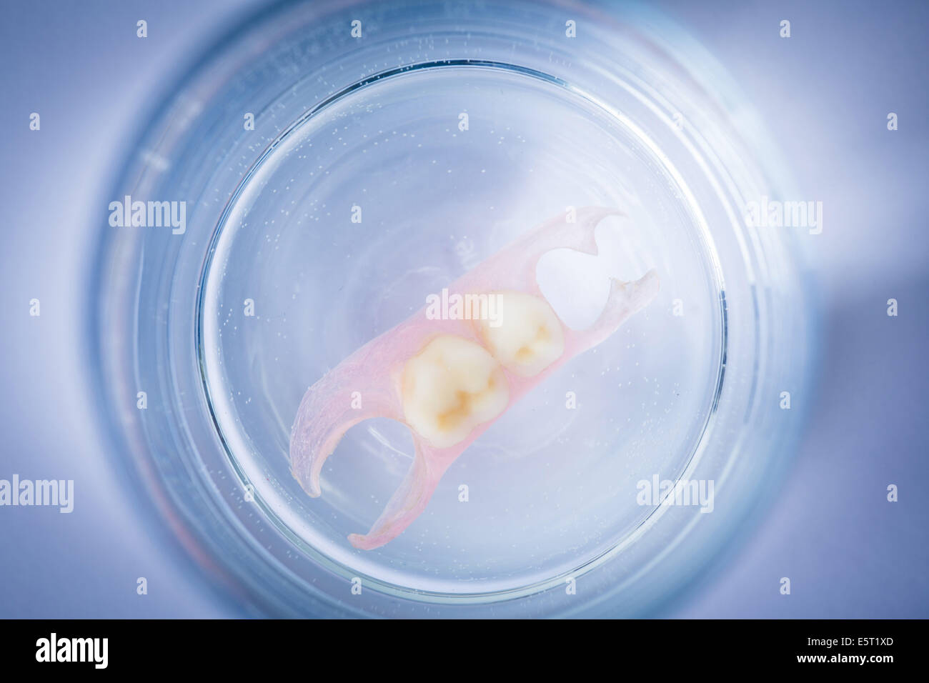 Removable dental prosthesis hi-res stock photography and images - Alamy