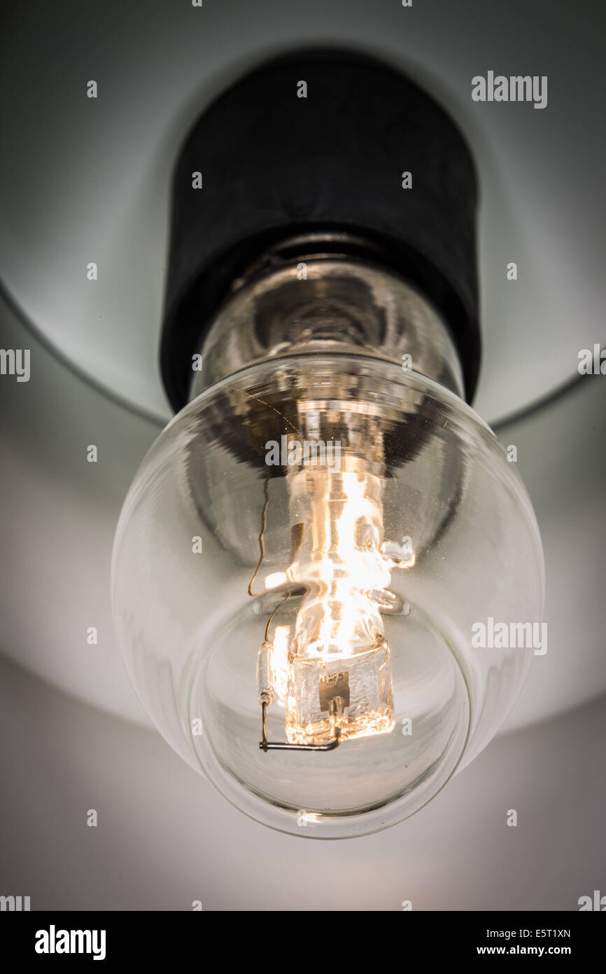 Halogen light bulb Stock Photo - Alamy