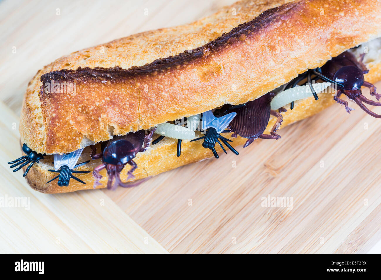 Plastic insects in a sandwich, entomophagy, conceptual image Stock ...