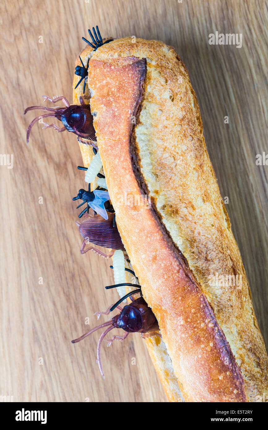 Plastic insects in a sandwich, entomophagy, conceptual image Stock ...