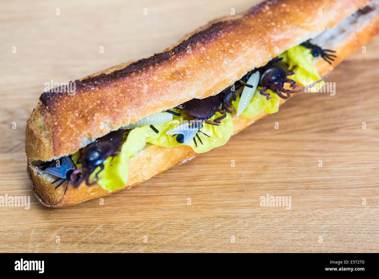 Plastic insects in a sandwich, entomophagy, conceptual image Stock ...