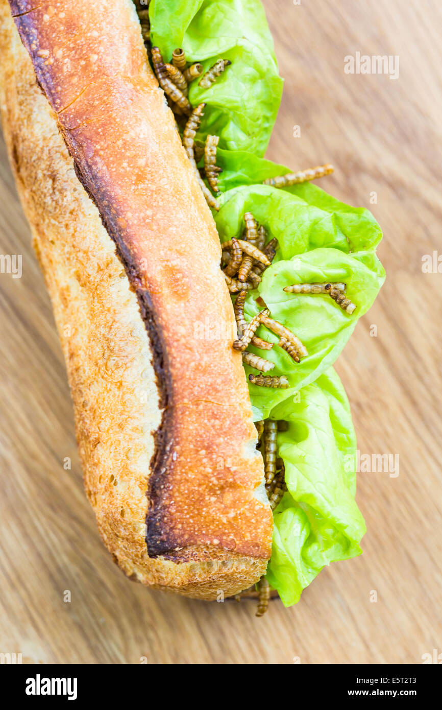 Edible mealworms in a sandwich Stock Photo - Alamy
