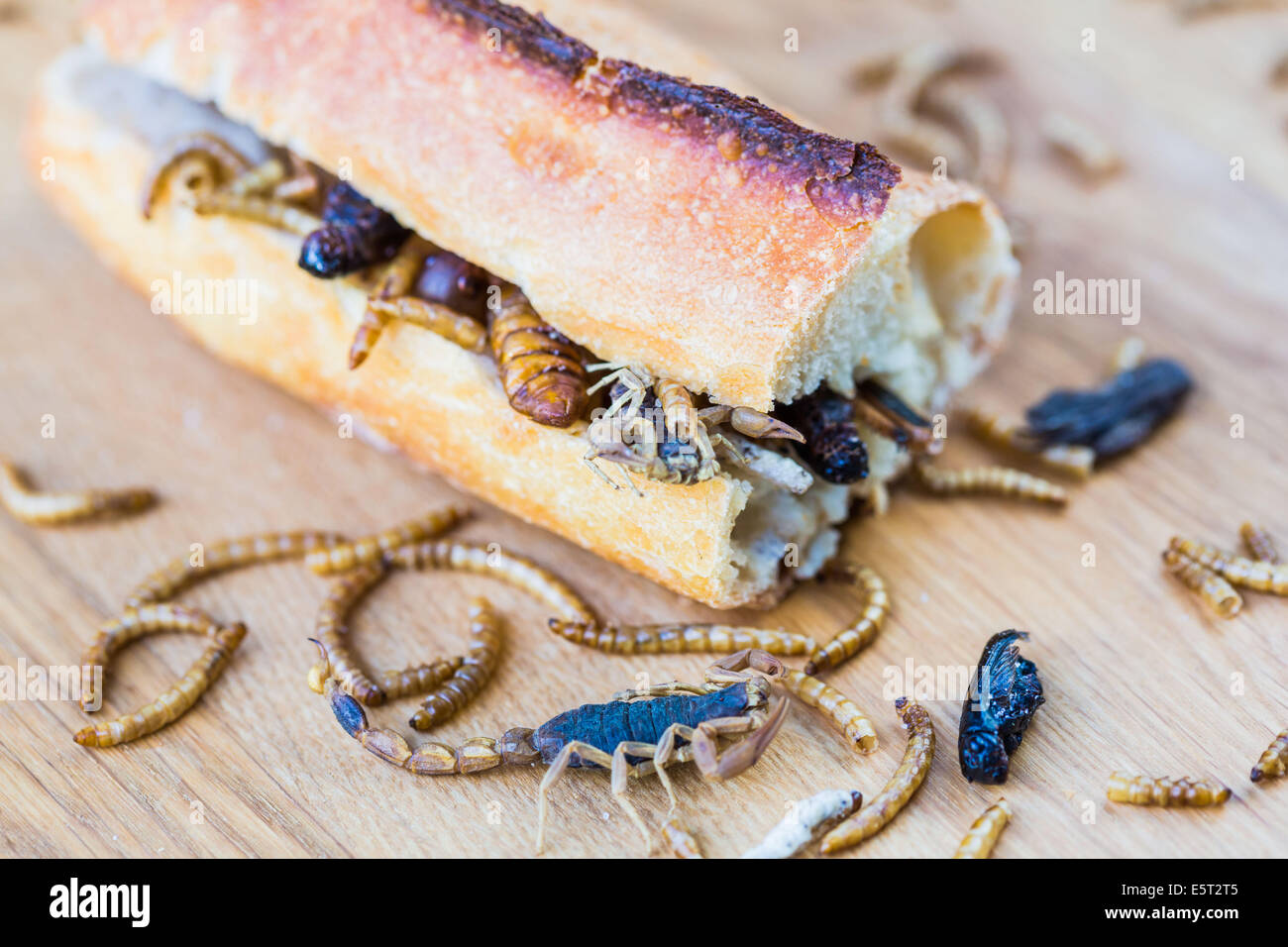 Edible insects in a sandwich Stock Photo - Alamy