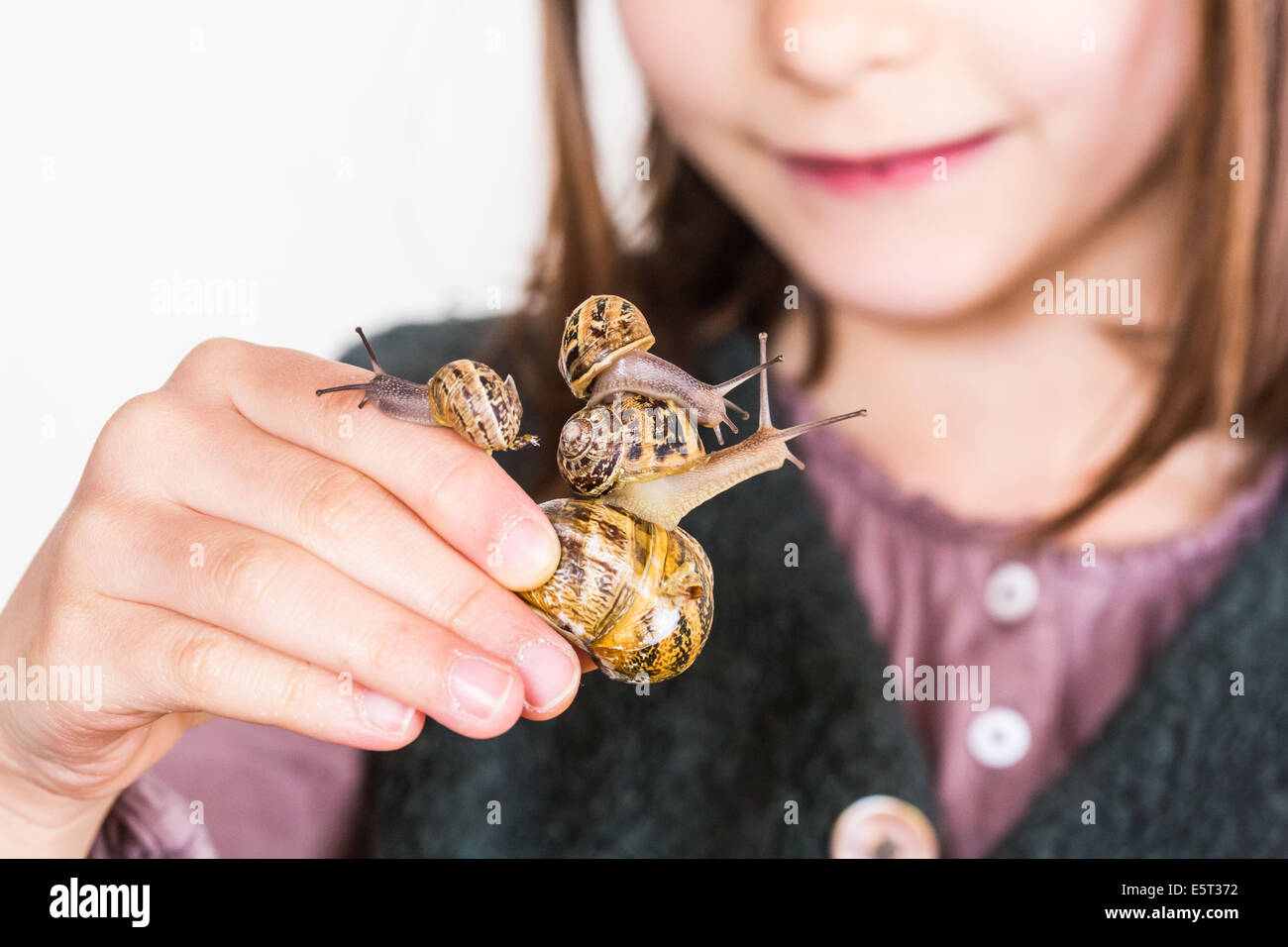 6 snails hi-res stock photography and images - Alamy