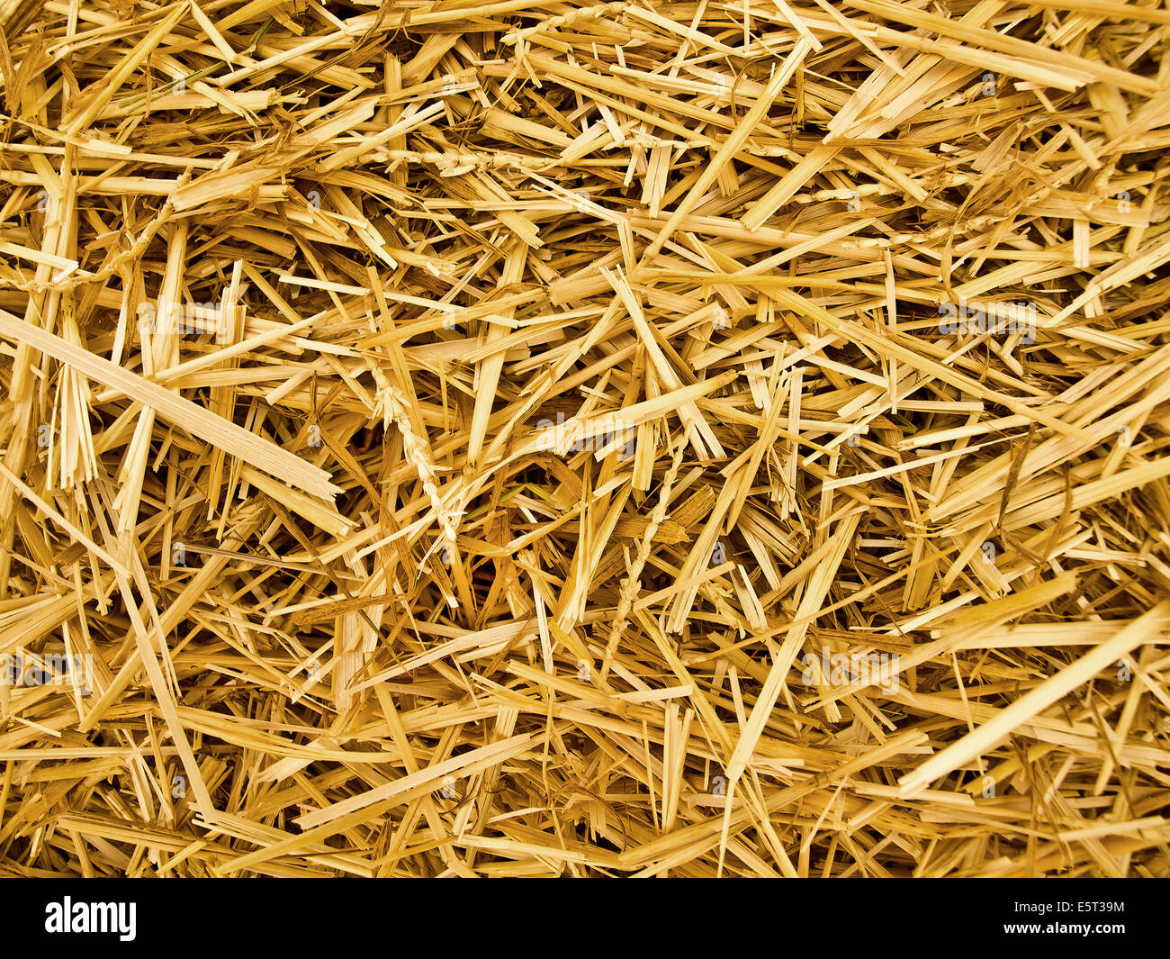 Thatch texture hi-res stock photography and images - Alamy