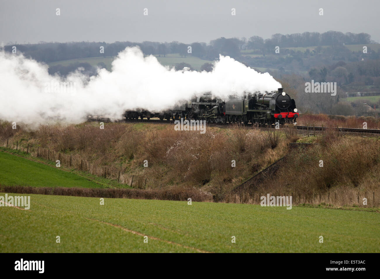 A U-Class Locomotive, number 31806, at the Spring Gala 2014 on the ...