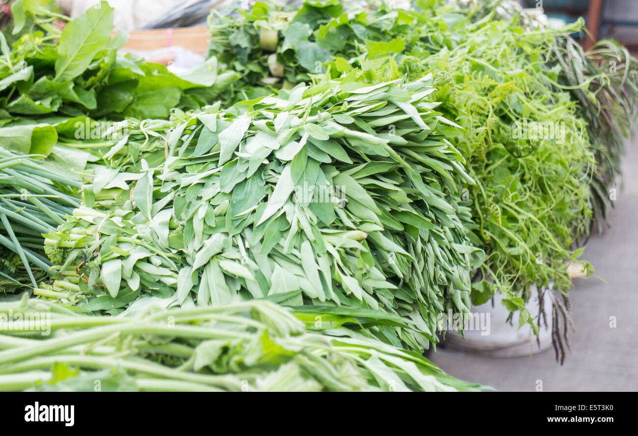 Green grocery at local market, stock photo Stock Photo - Alamy