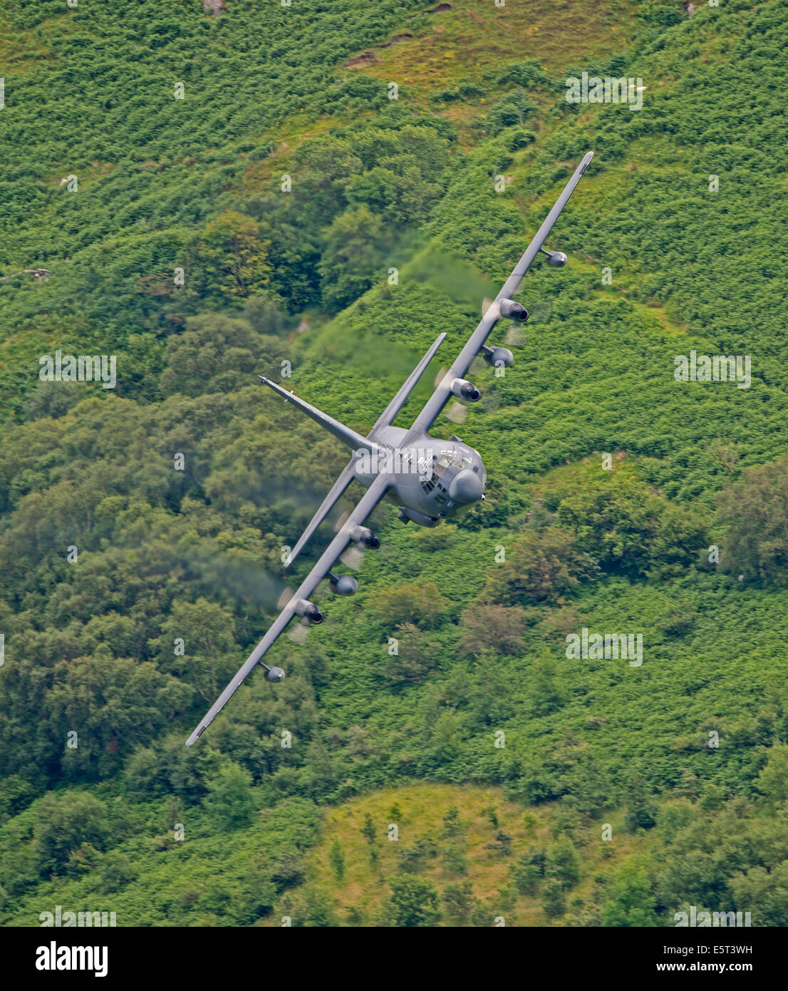 Combat talon hi-res stock photography and images - Alamy