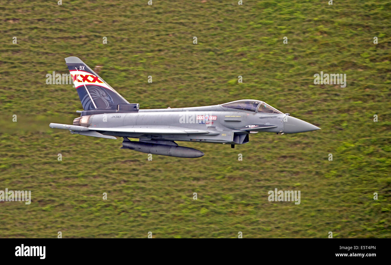 RAF Typhoon of 29(R) Squadron with special tail design for 2014 Air ...