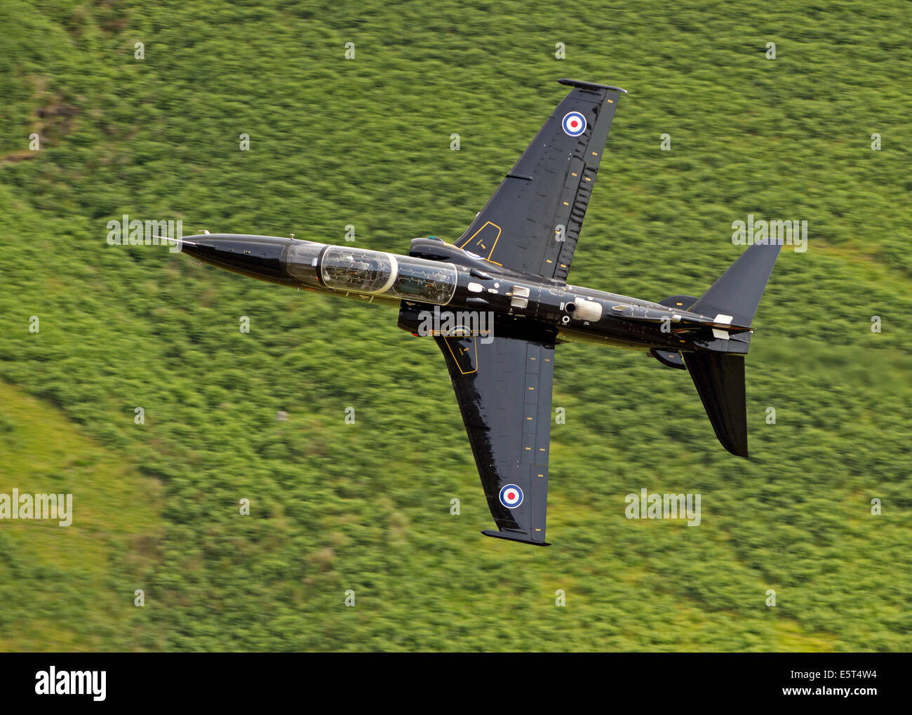 RAF Hawk T2 Jet trainer low level in the Mach Loop, Machynlleth area of Wales Stock Photo - Alamy