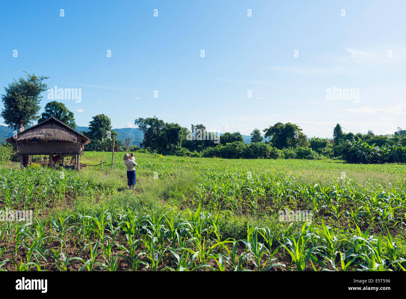 Southeast Asia, Myanmar (Burma), Hsipaw trekking area, mother and child ...
