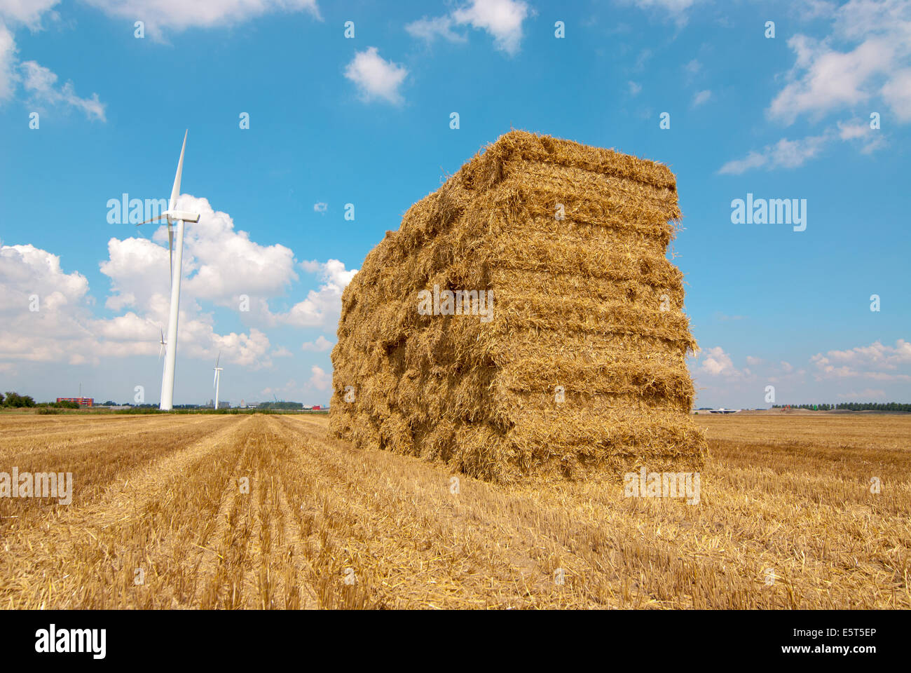Haystack on dutch farmfield in summer Stock Photo - Alamy