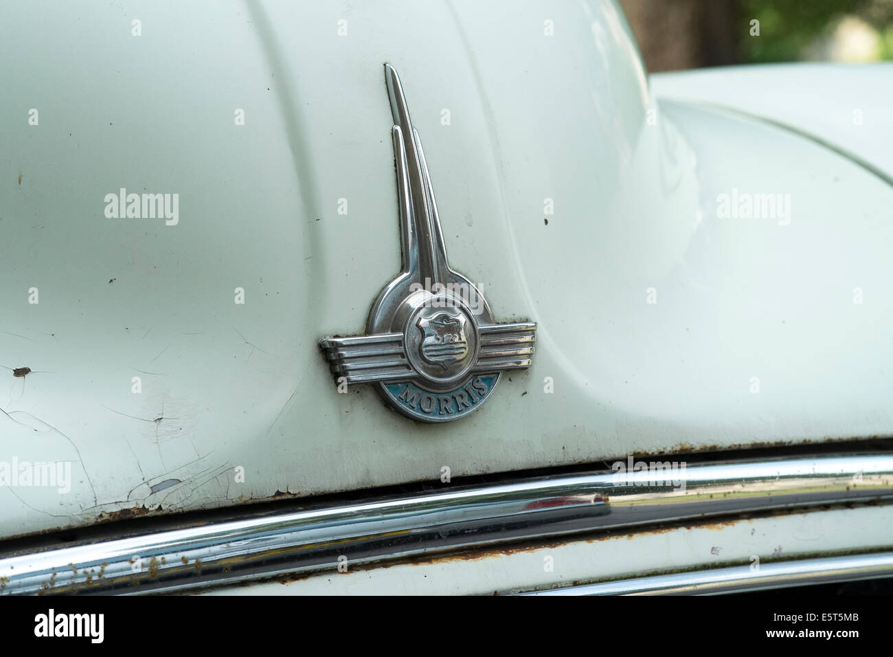 Classic Morris Minor 100 bonnet badge Stock Photo - Alamy