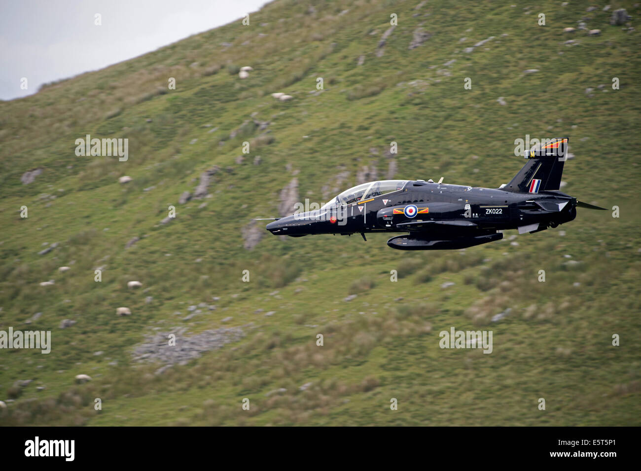 RAF Hawk T2 Jet trainer low level in the Mach Loop, Machynlleth area of ...