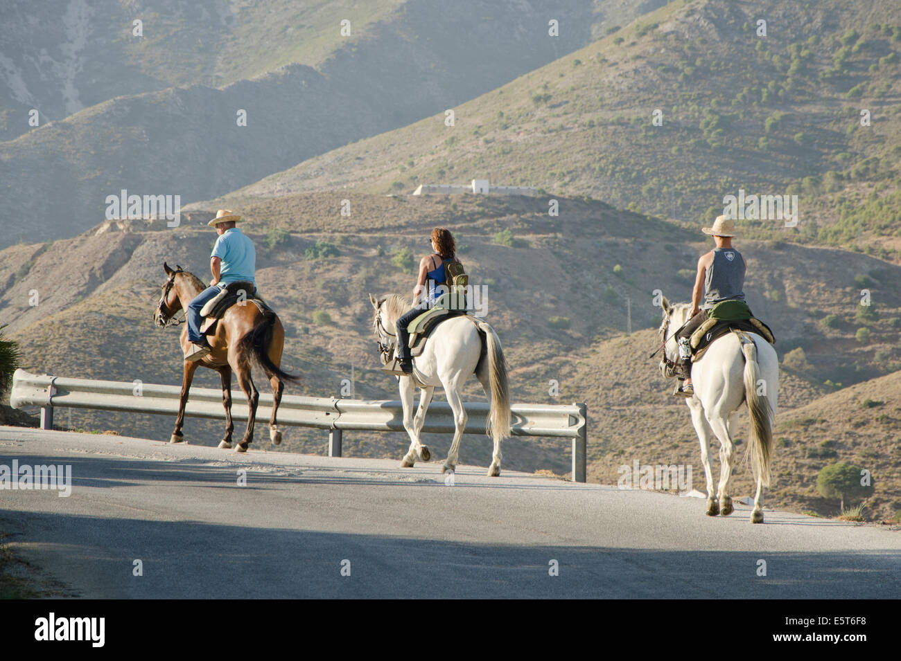 Horseback riding trip through the mountains in Southern Spain, Mijas ...