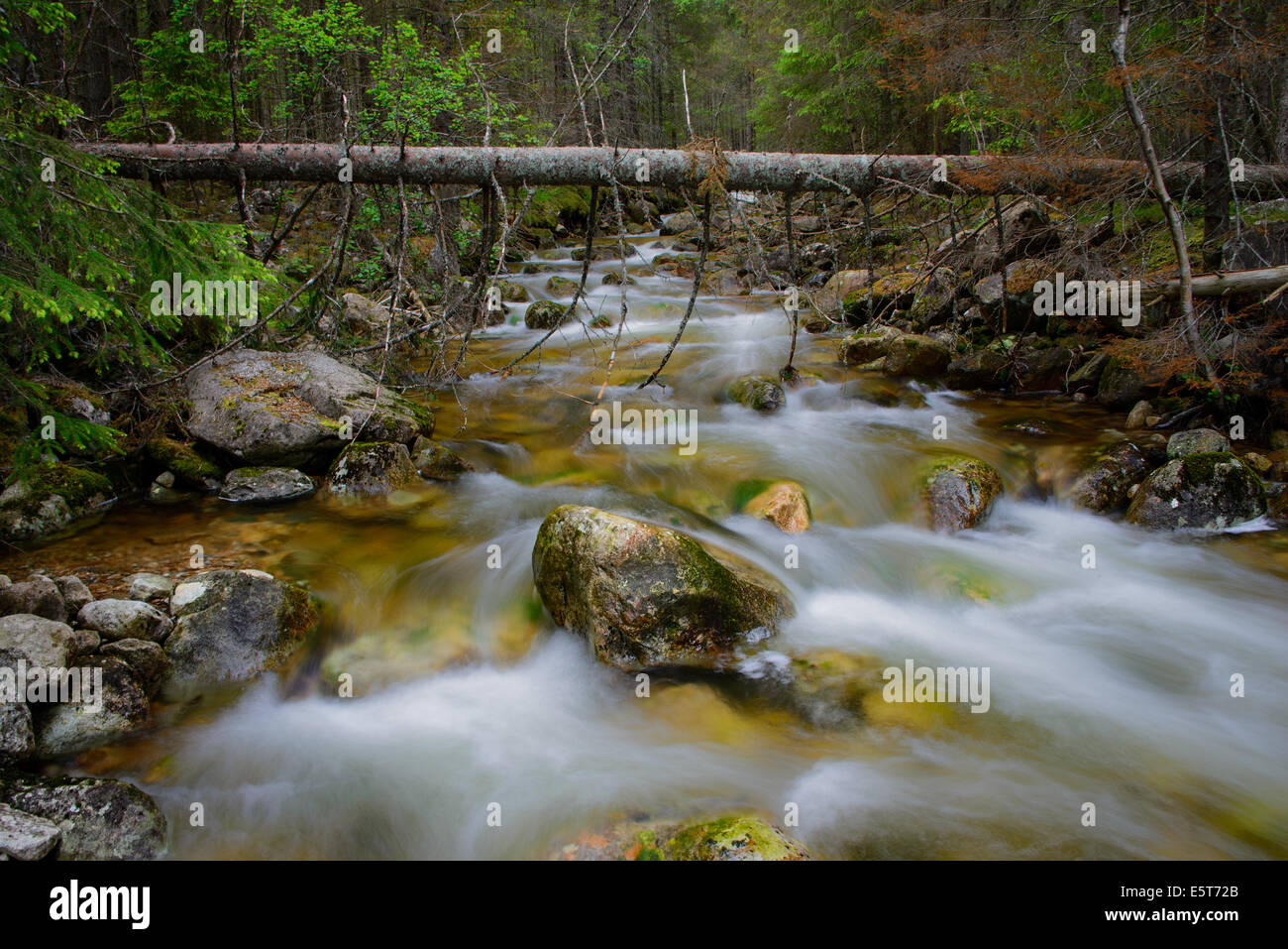 Streaming stream brook river hi-res stock photography and images - Alamy