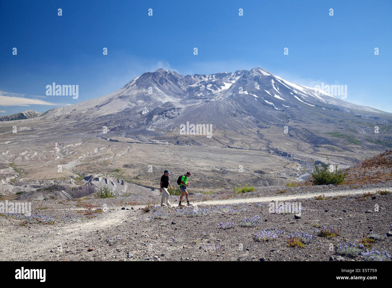 Mt. St. Helen's National Park, Washington, USA Stock Photo - Alamy