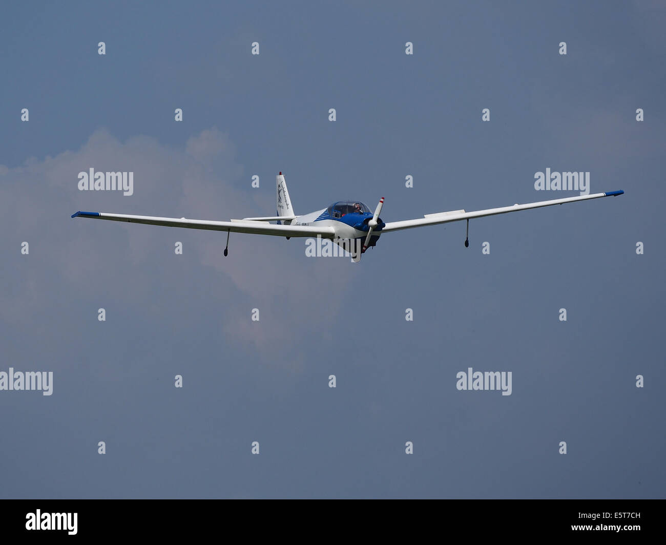 Scheibe falke hi-res stock photography and images - Alamy