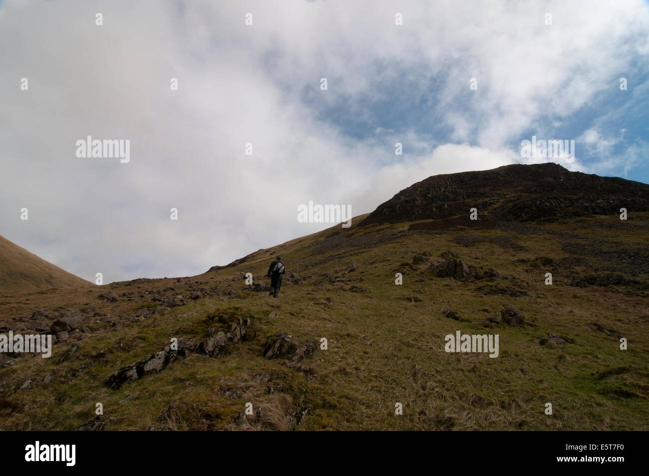 Redgill hi-res stock photography and images - Alamy