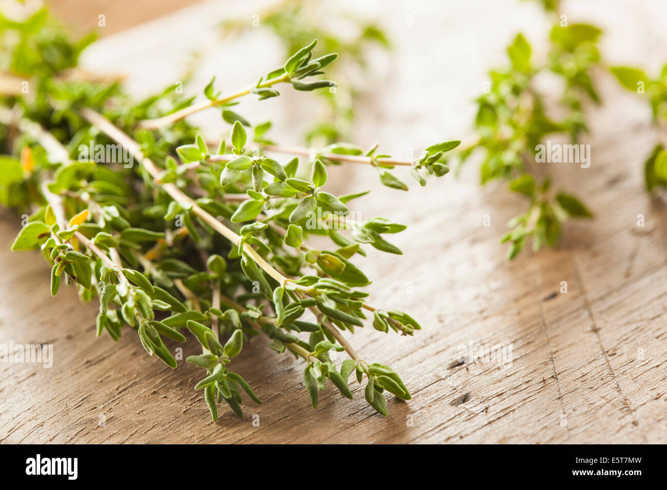 Thyme Leaf High Resolution Stock Photography and Images - Alamy