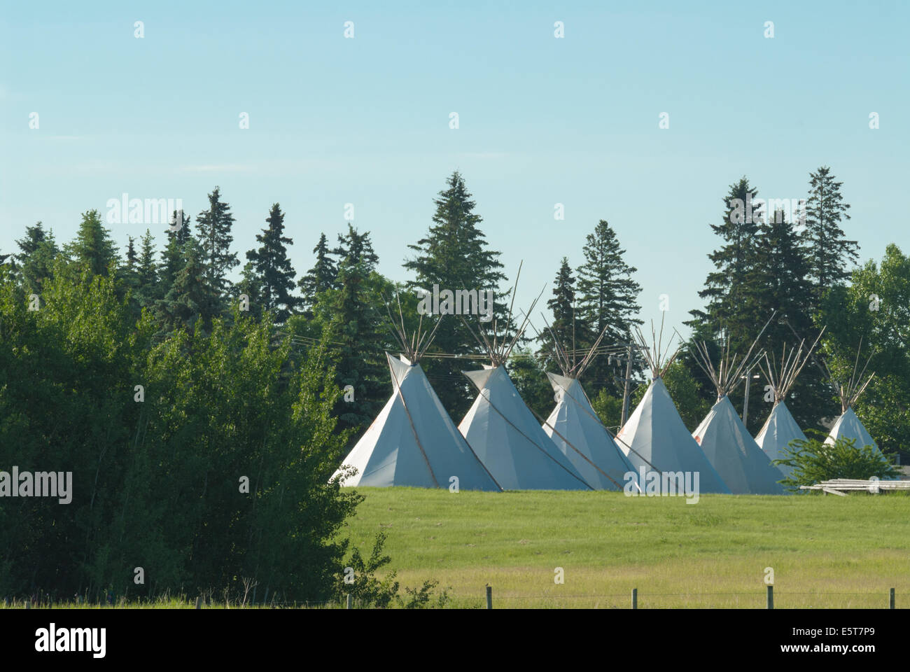 A line of teepees sitting in a field in central Alberta, Canada Stock ...