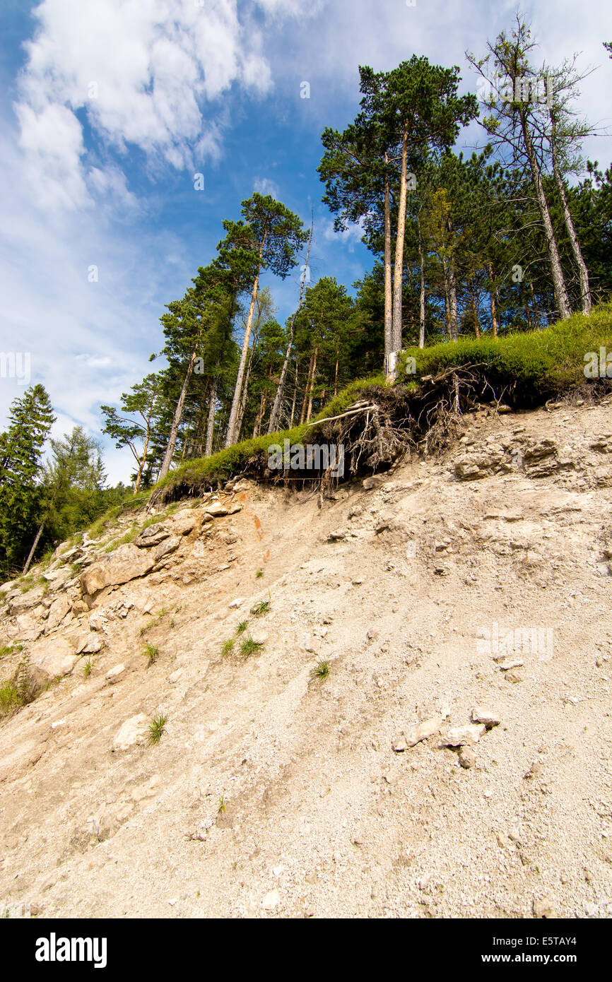 Soil Erosion And Forest Degradation Stock Photo - Alamy