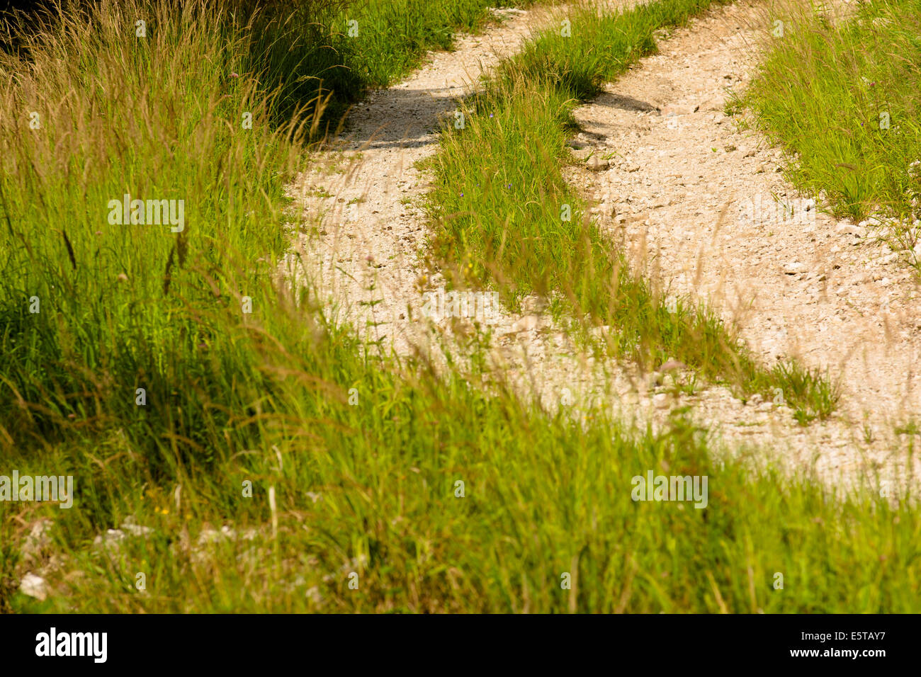 Overgrown country road hi-res stock photography and images - Alamy