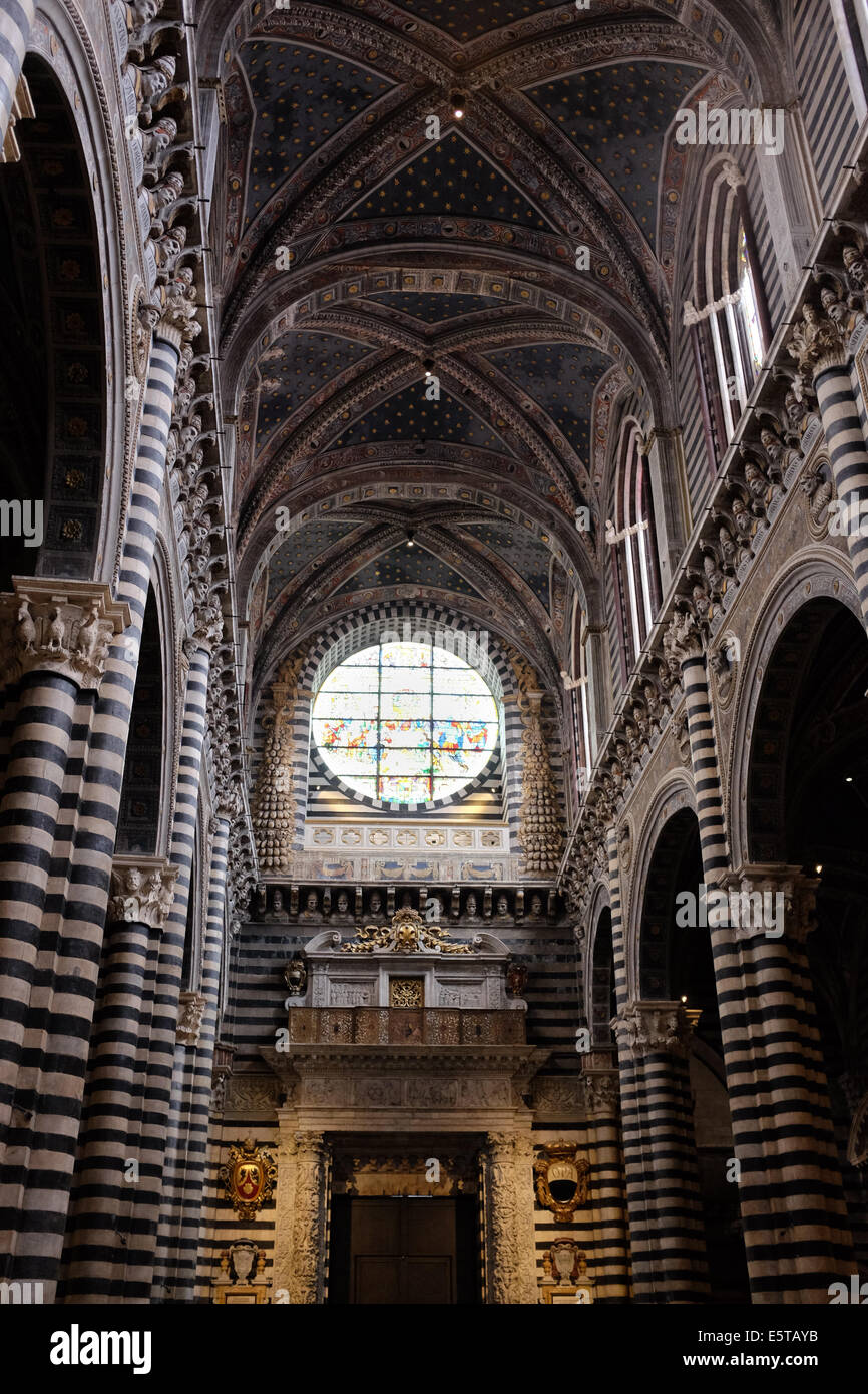 The ceiling of the Duomo in Siena, Italy Stock Photo - Alamy