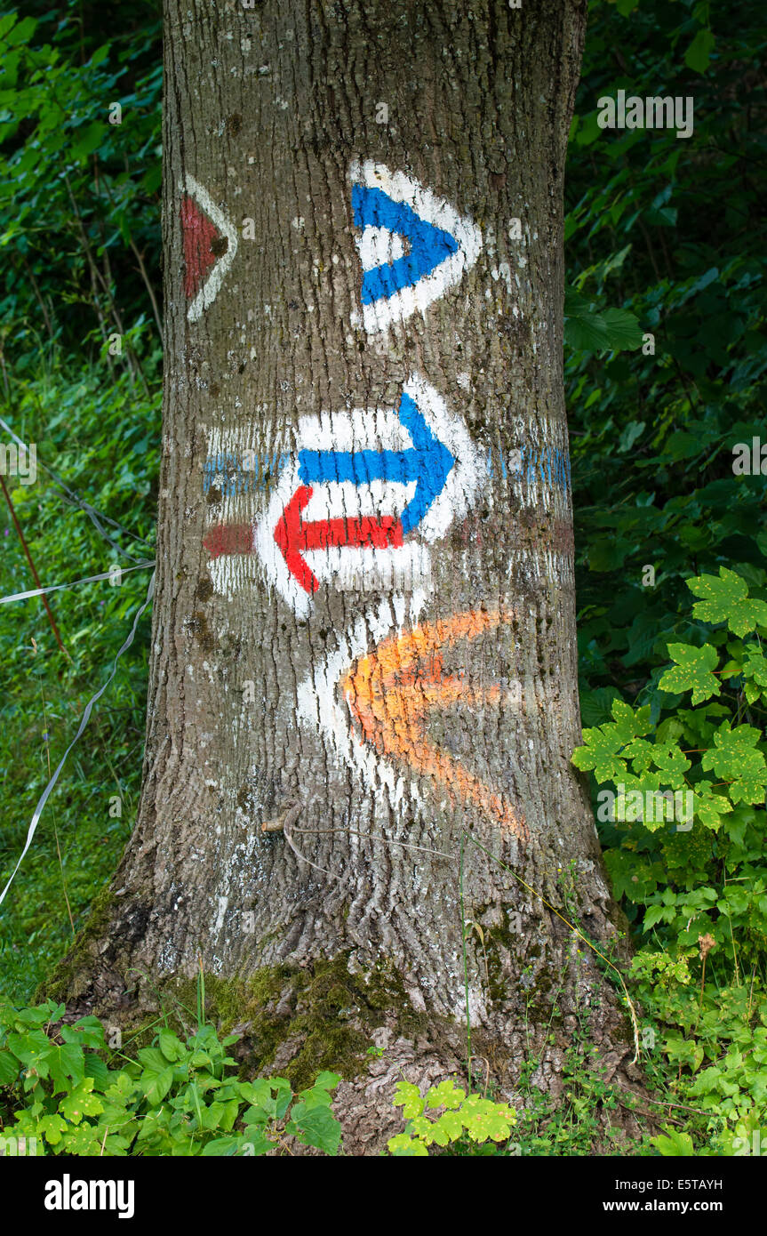 Multiple Arrow Symbols In Different Directions On Tree Stock Photo - Alamy