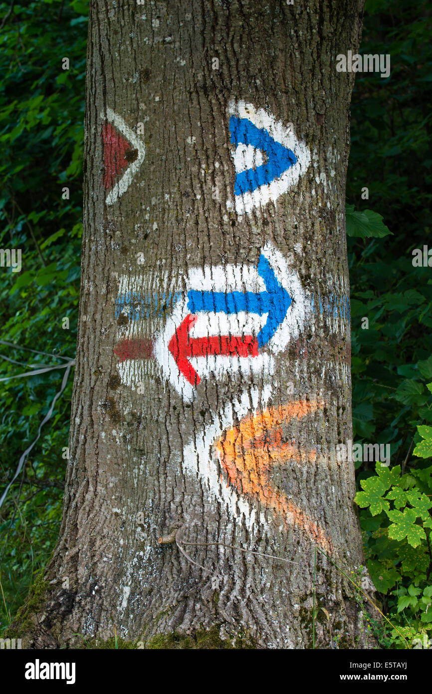 Multiple Arrow Symbols In Different Directions On Tree Stock Photo - Alamy