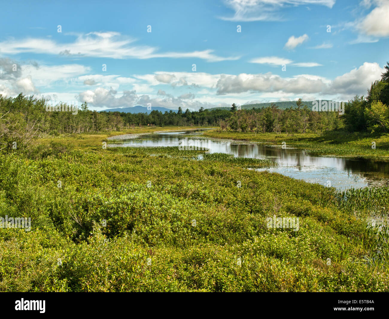 The Adirondack State Park off Route 8 near Oxbow Lake Stock Photo - Alamy