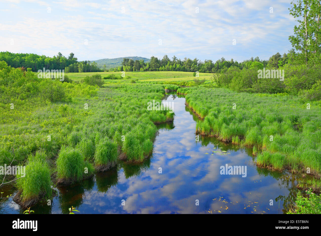 A slow moving stream flowing through the rural countryside of Maine in ...