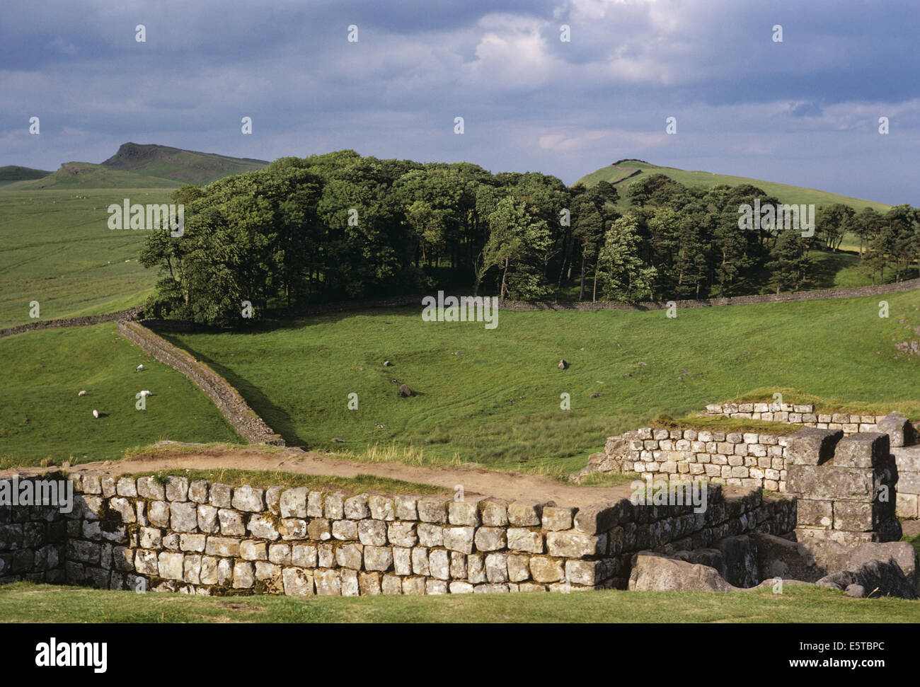 Hadrian's wall and the Knag Burn Gateway, Housesteads, Northumberland ...