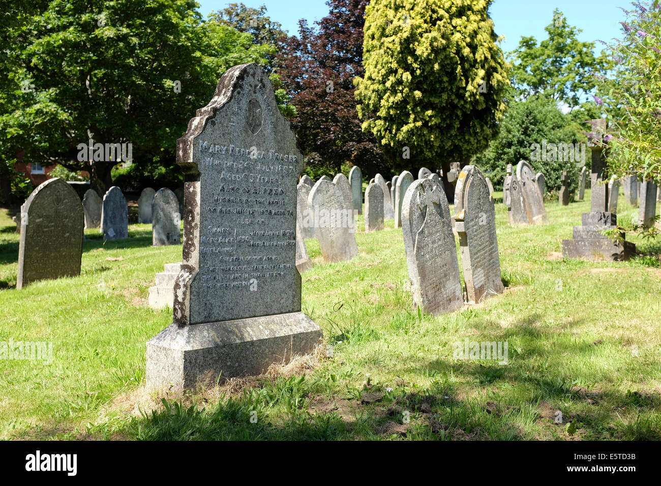 Tombs at Higher Cemetery of Exeter, England, UK Stock Photo - Alamy