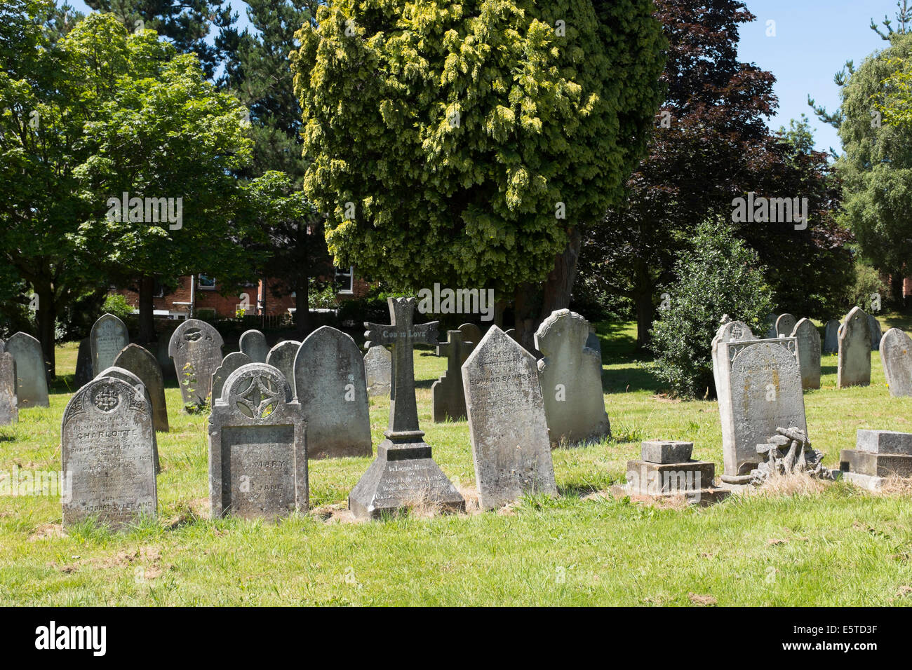 Tombs at Higher Cemetery of Exeter, England, UK Stock Photo - Alamy