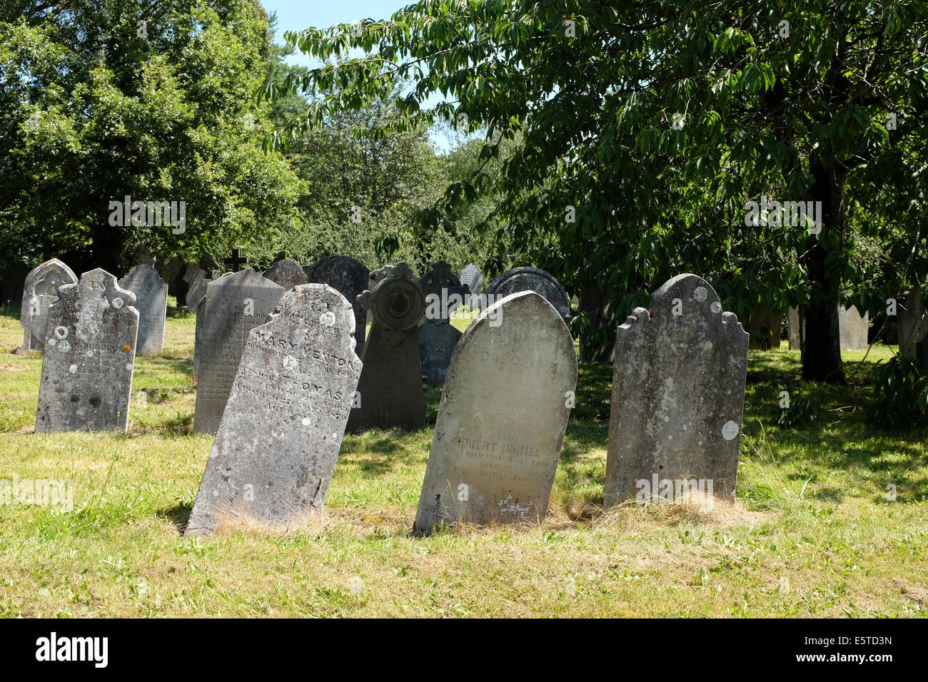 Tombs at Higher Cemetery of Exeter, England, UK Stock Photo - Alamy