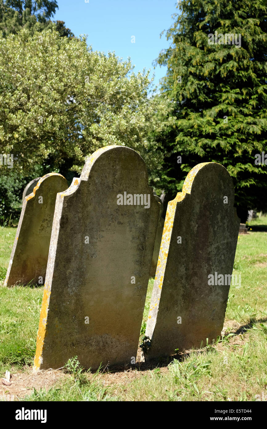 Tombs at Higher Cemetery of Exeter, England, UK Stock Photo - Alamy