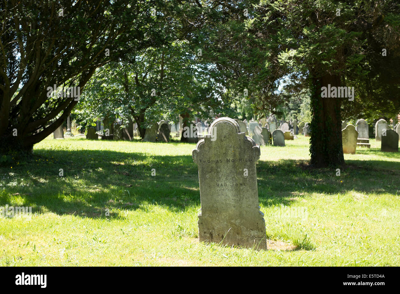 Lonely Tomb at Higher Cemetery of Exeter, England, UK Stock Photo - Alamy