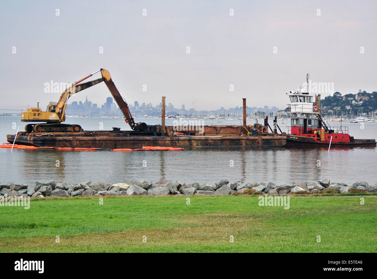 Strawberry marin county hi-res stock photography and images - Alamy