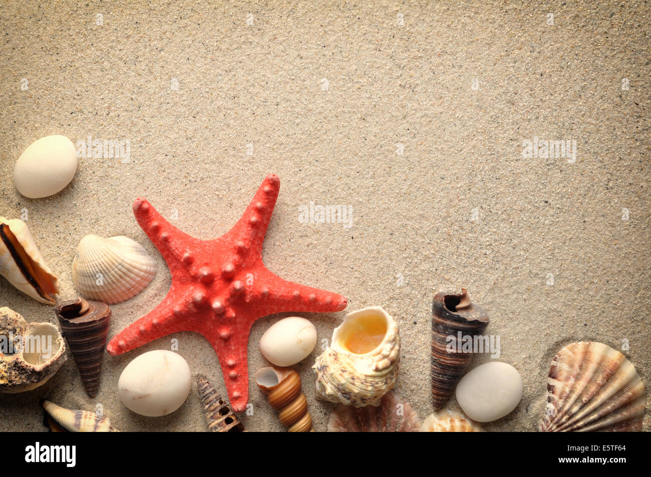 Starfish and shells on a sand beach Stock Photo - Alamy