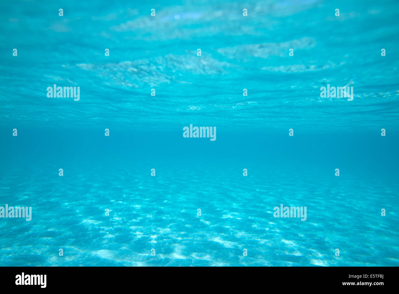 Ocean underwater scene background hi-res stock photography and images ...