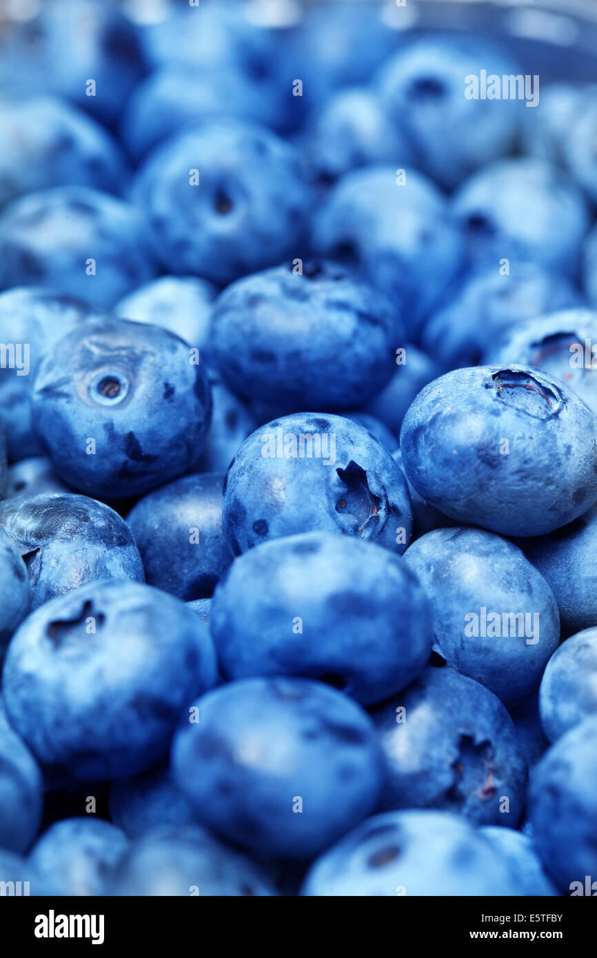 Freshly picked blueberries Stock Photo - Alamy