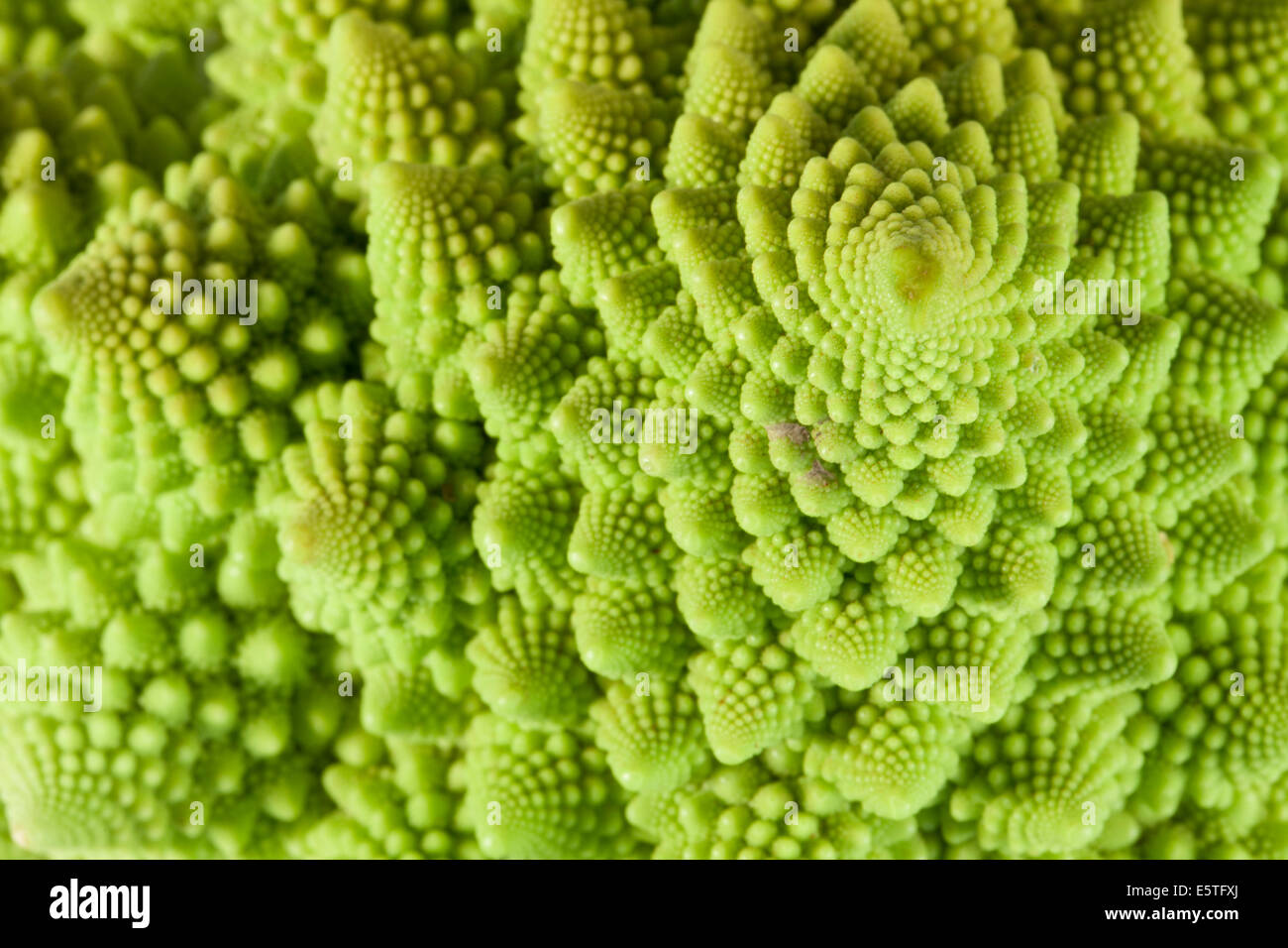 fresh Romanesco vegetable Stock Photo - Alamy