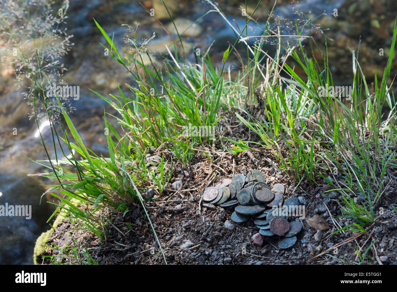 Ancient Roman Coins in the grass Stock Photo - Alamy