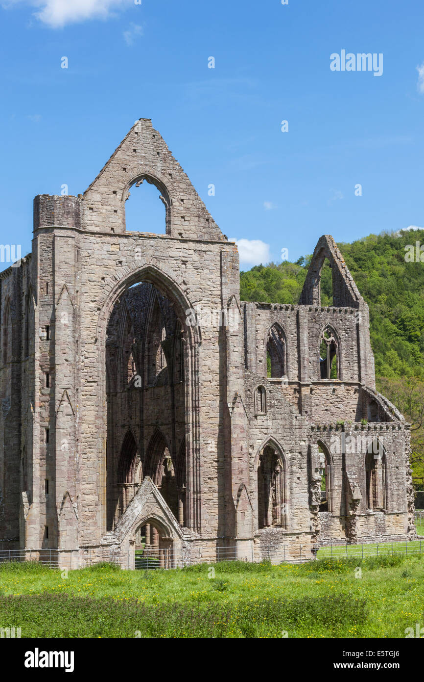 Wales, Monmouthshire, Tintern Abbey Stock Photo - Alamy