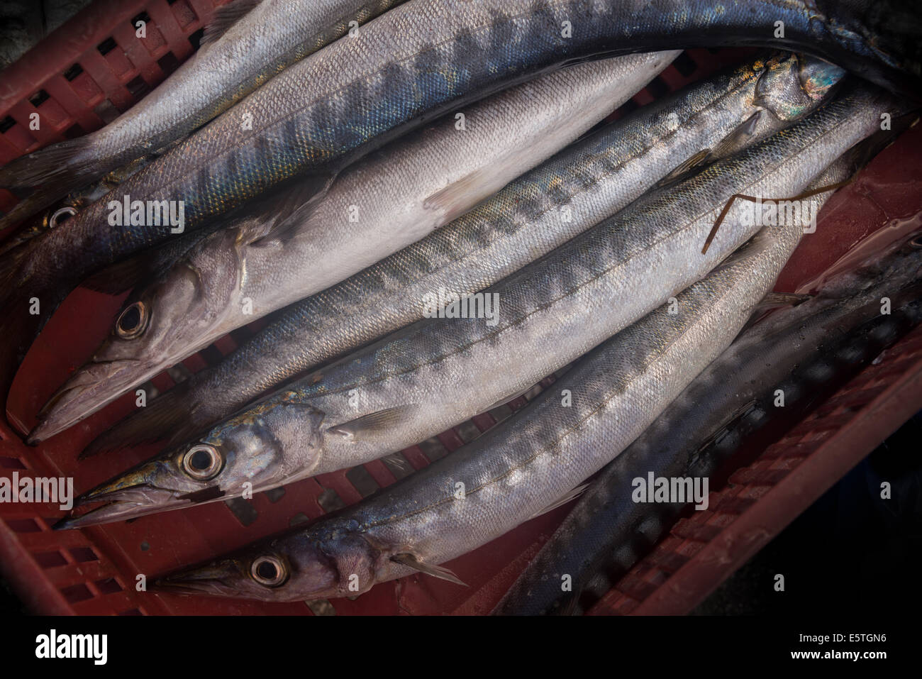 Fish on sale at quayside market, port of Agostoli, Kefalonia, Greece ...