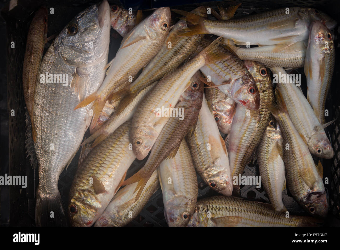 Fish on sale at quayside market, port of Agostoli, Kefalonia, Greece ...