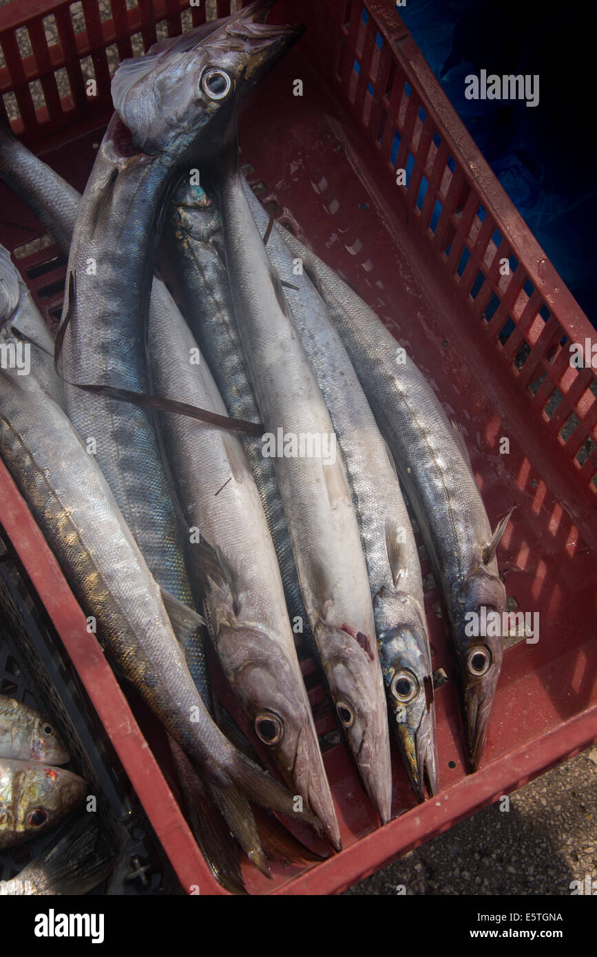 Fish on sale at quayside market, port of Agostoli, Kefalonia, Greece ...