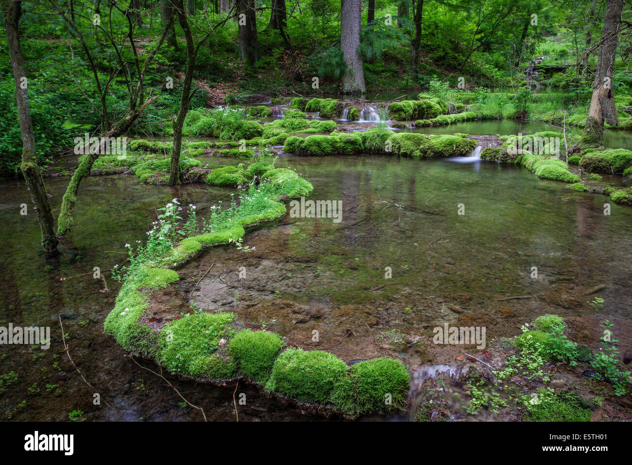 Kaisinger Brunnenbach, stream, Greding, Bavaria, Germany Stock Photo ...
